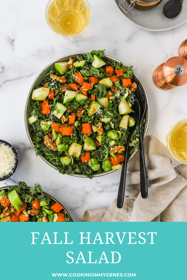 Fall Harvest Salad with Maple Balsamic Dressing - Cooking in my Genes