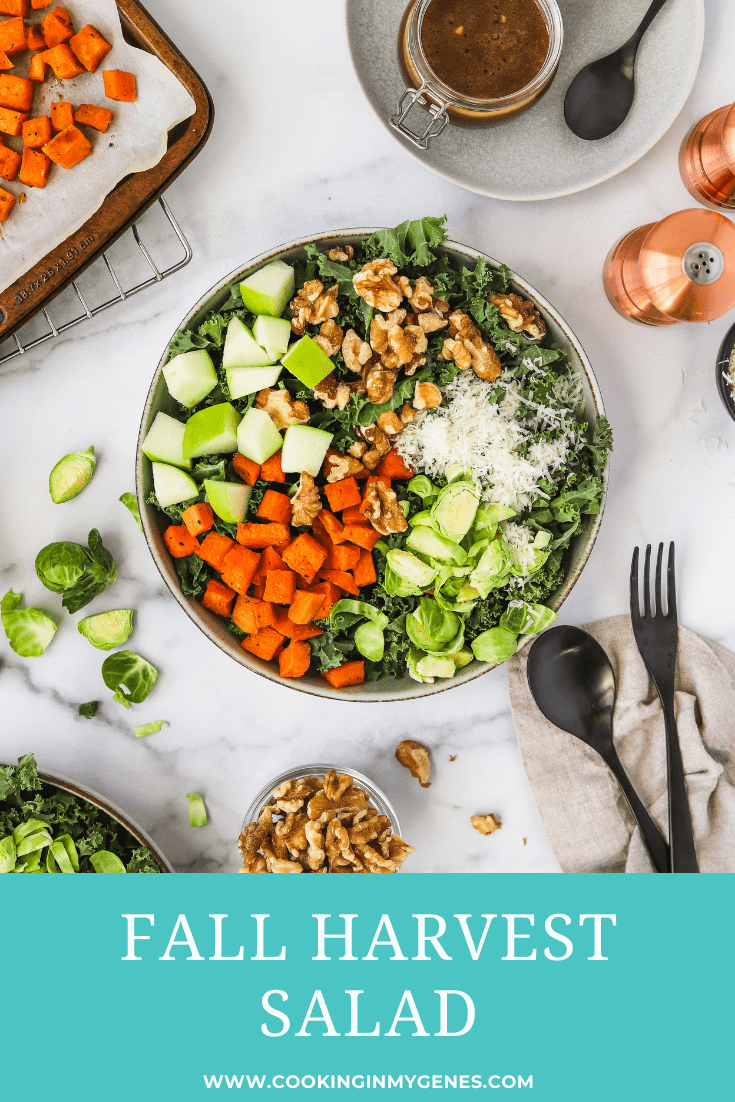 Fall Harvest Salad with Maple Balsamic Dressing - Cooking in my Genes