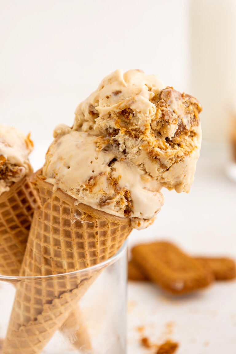 5-Ingredient Homemade No Churn Biscoff Ice Cream - Cooking in my Genes